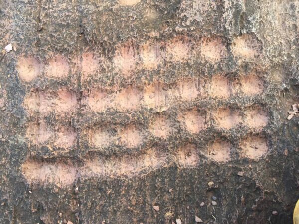 Abazungu baje kudutambamira amateka, batwigisha ko Umwami Ruganzu II ...