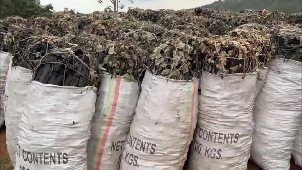 Nyamasheke: Abacuruzi b'amakara babujijwe gutwara amakara bakoresheje ...